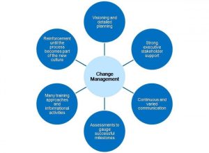change management process importance - THECONSULTING.blue